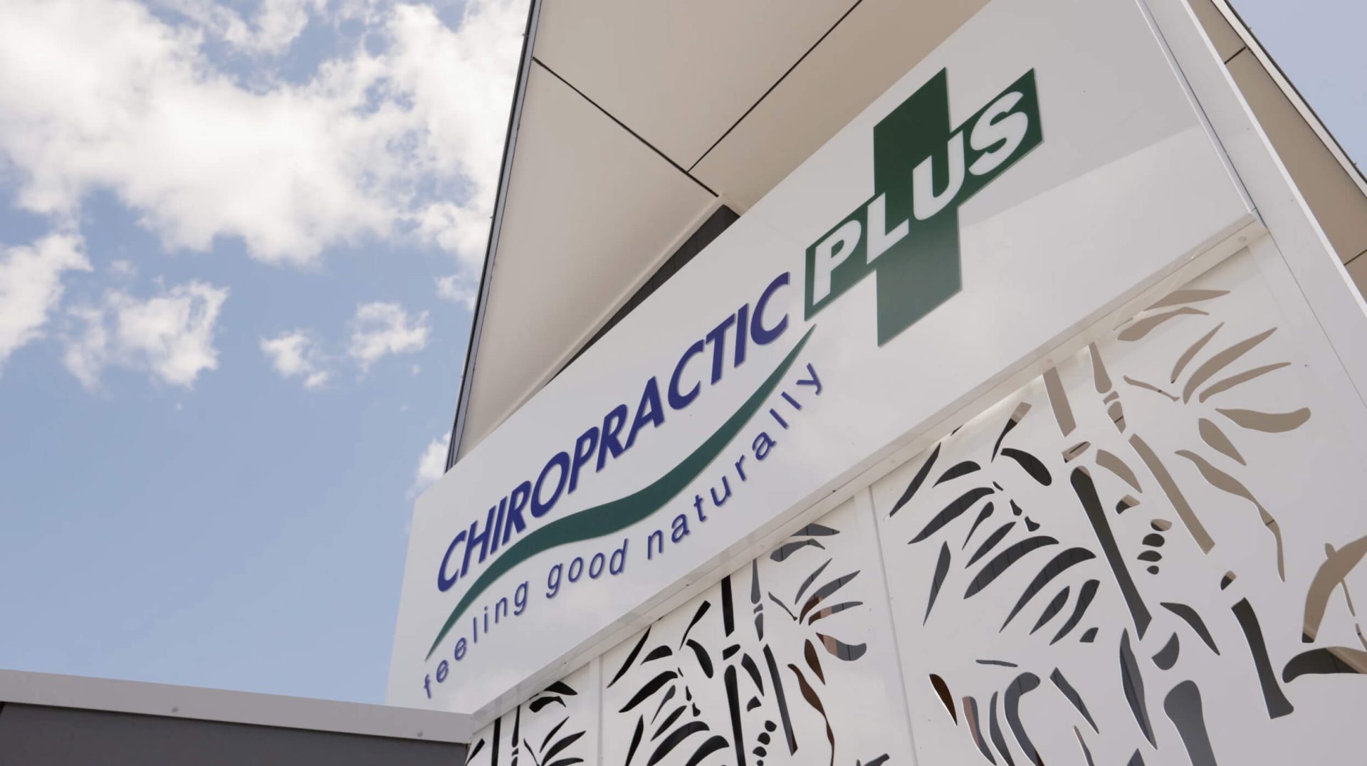 bg-video-placeholder - Chiropractic Plus : Chiropractic Plus